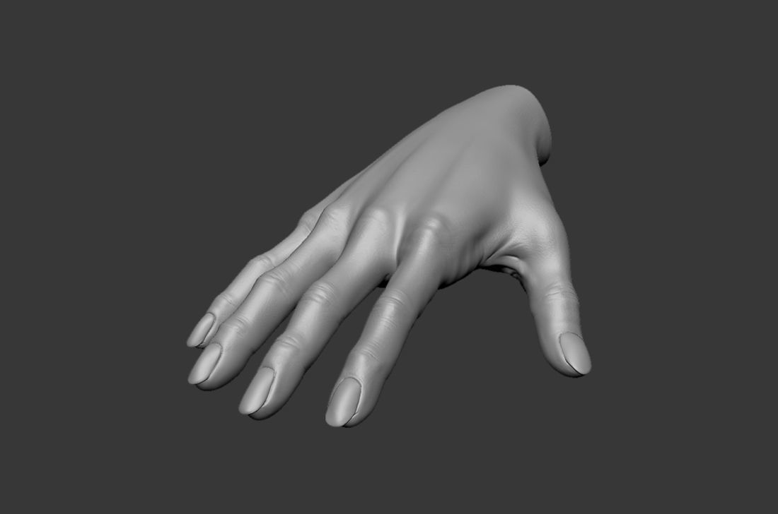 Female Hand 3D model | CGTrader