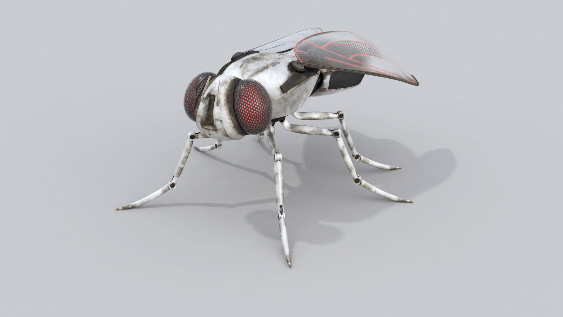 Robot Fly 3D model rigged | CGTrader