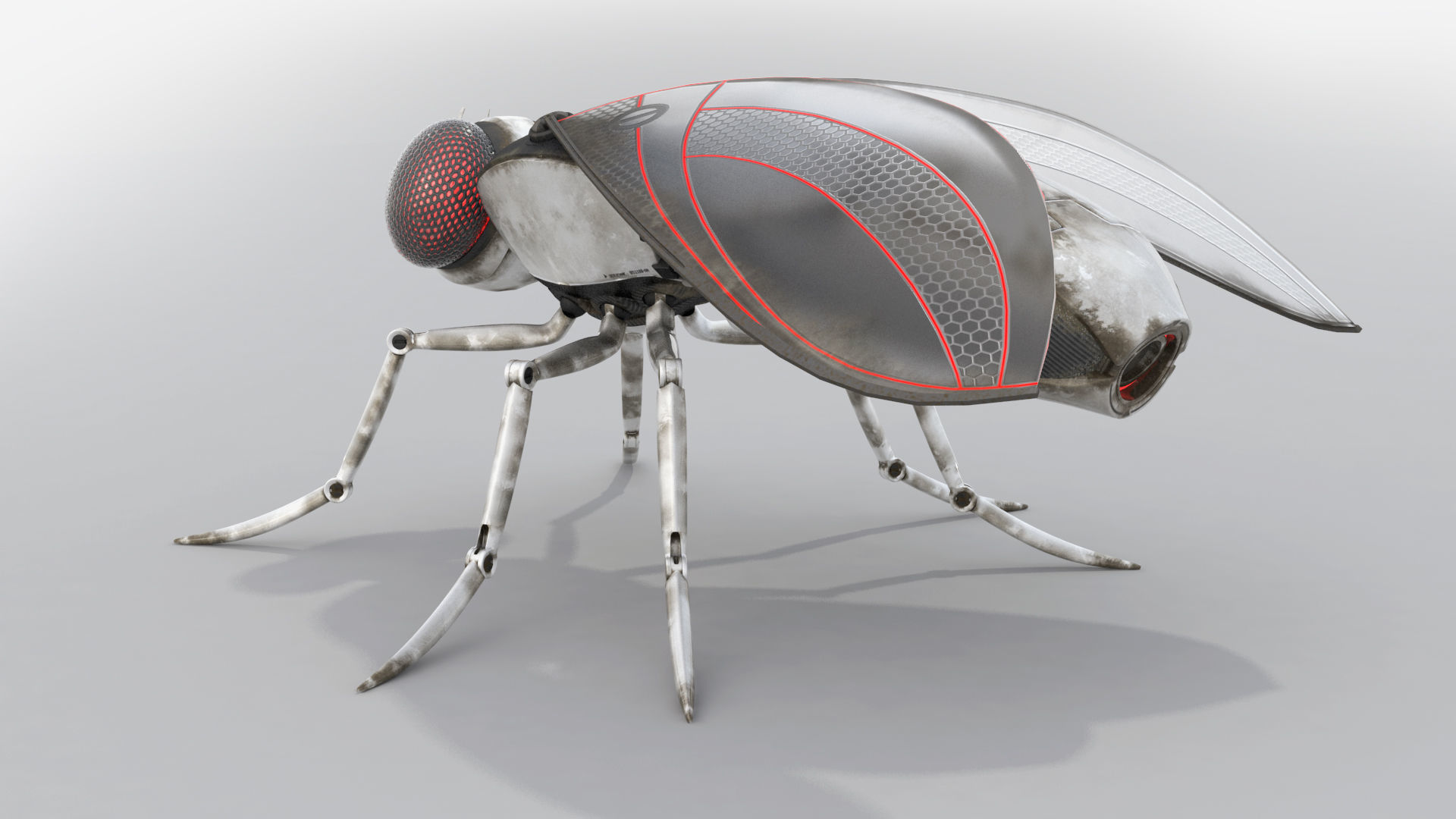 Robot Fly 3D model rigged | CGTrader