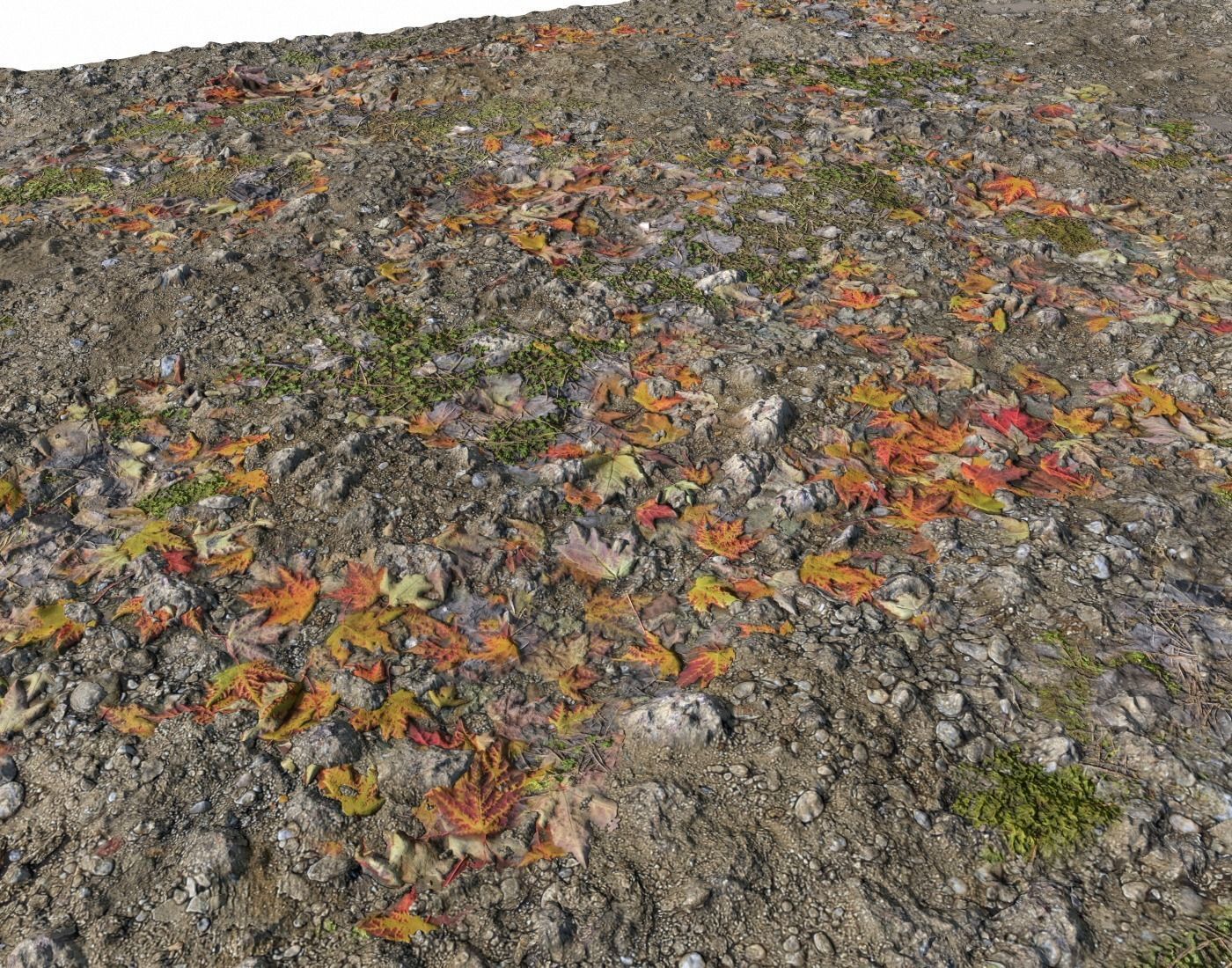 Terrain Mix PBR Texture | CGTrader