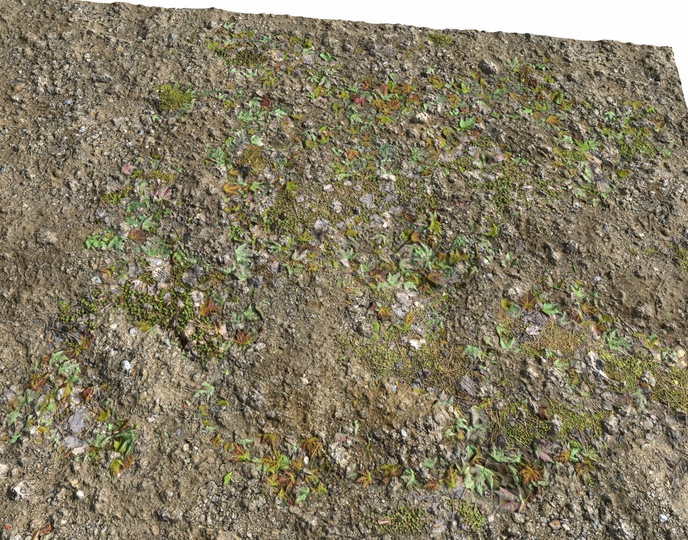 Terrain Mix PBR Texture | CGTrader