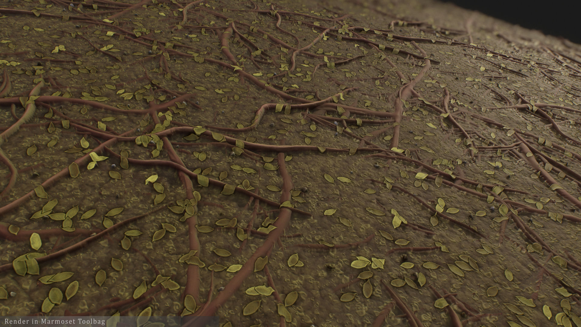 Stylized Forest Ground PBR texture Texture | CGTrader