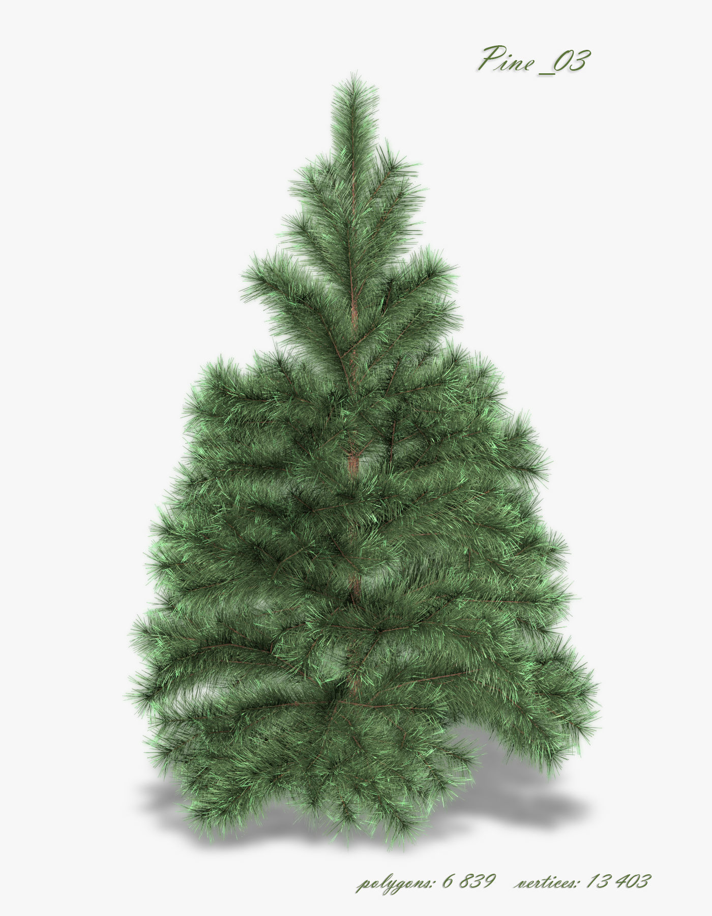 Pines 3D model | CGTrader