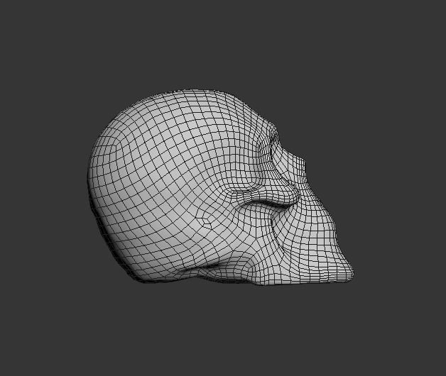 3D model Ornamental Skull - Photogrammetry VR / AR / low-poly | CGTrader