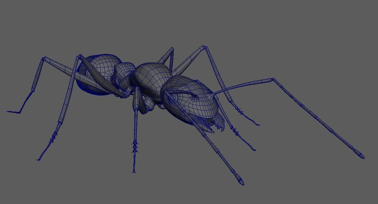 3D model Ant 3D Rig VR / AR / low-poly | CGTrader
