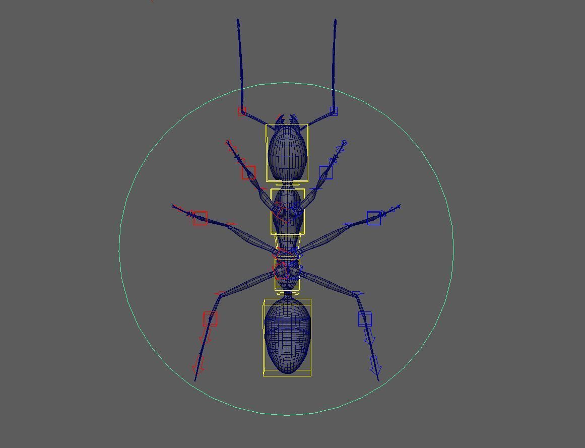 3D model Ant 3D Rig VR / AR / low-poly | CGTrader