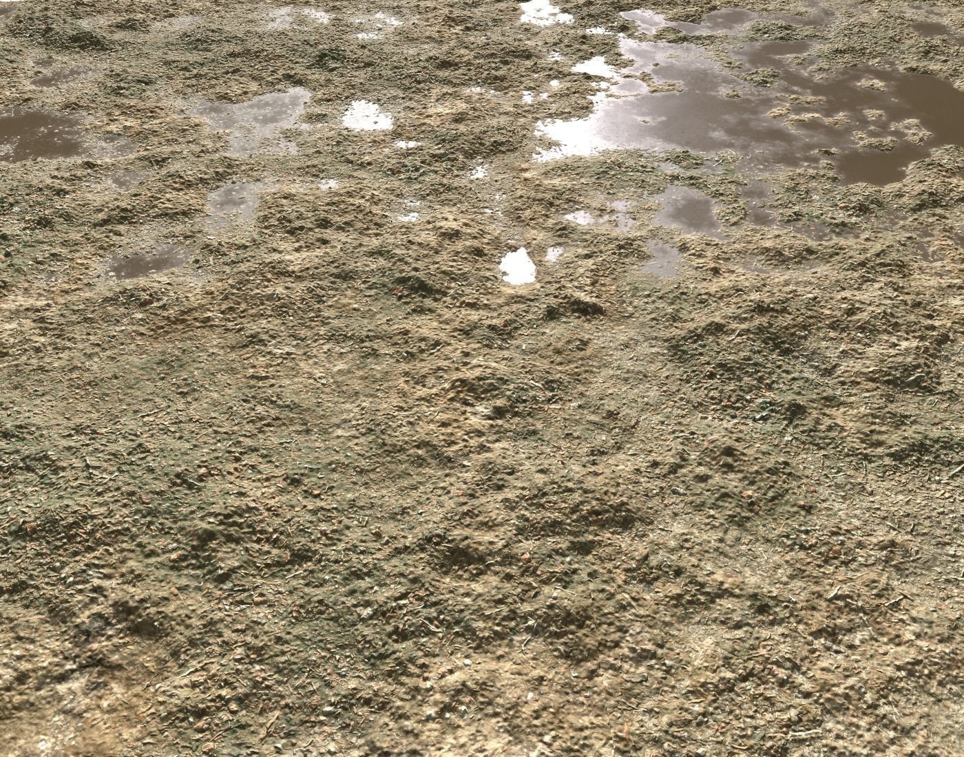 Dirty Ground 2 PBR Texture | CGTrader