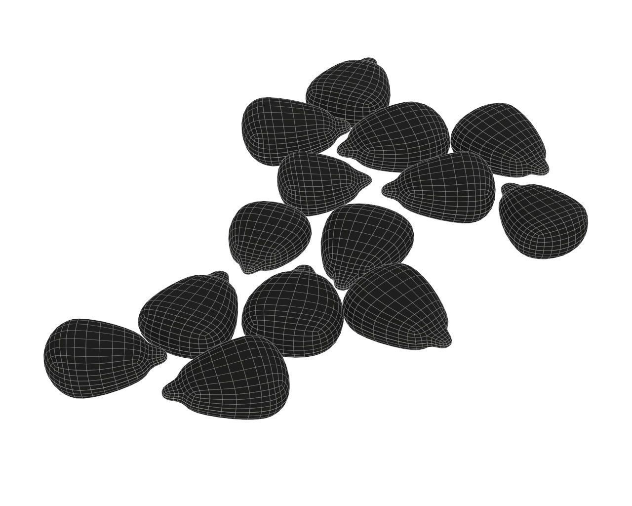 Corn kernel 3D model | CGTrader