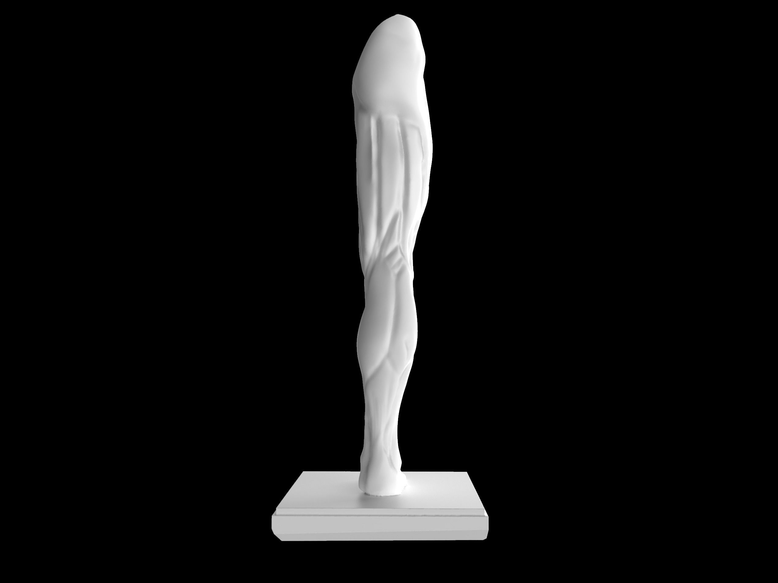 Man Leg Anatomy - 3D Print Model 3D model 3D printable | CGTrader