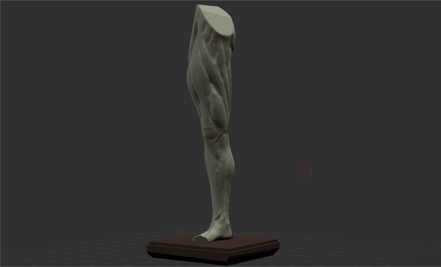 Man Leg Anatomy - 3D Print Model 3D model 3D printable | CGTrader