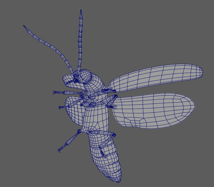 Firefly beetle 3D model | CGTrader