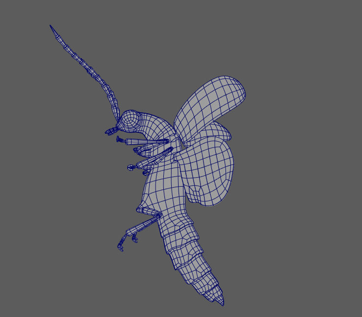Firefly beetle 3D model | CGTrader