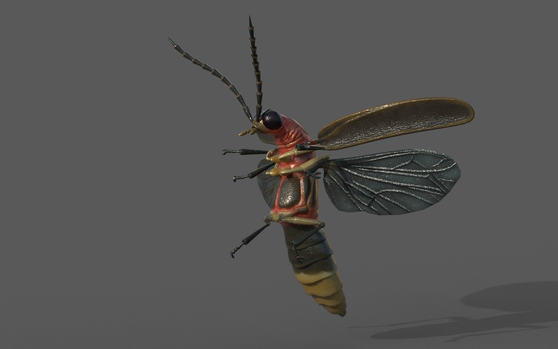 Firefly beetle 3D model | CGTrader