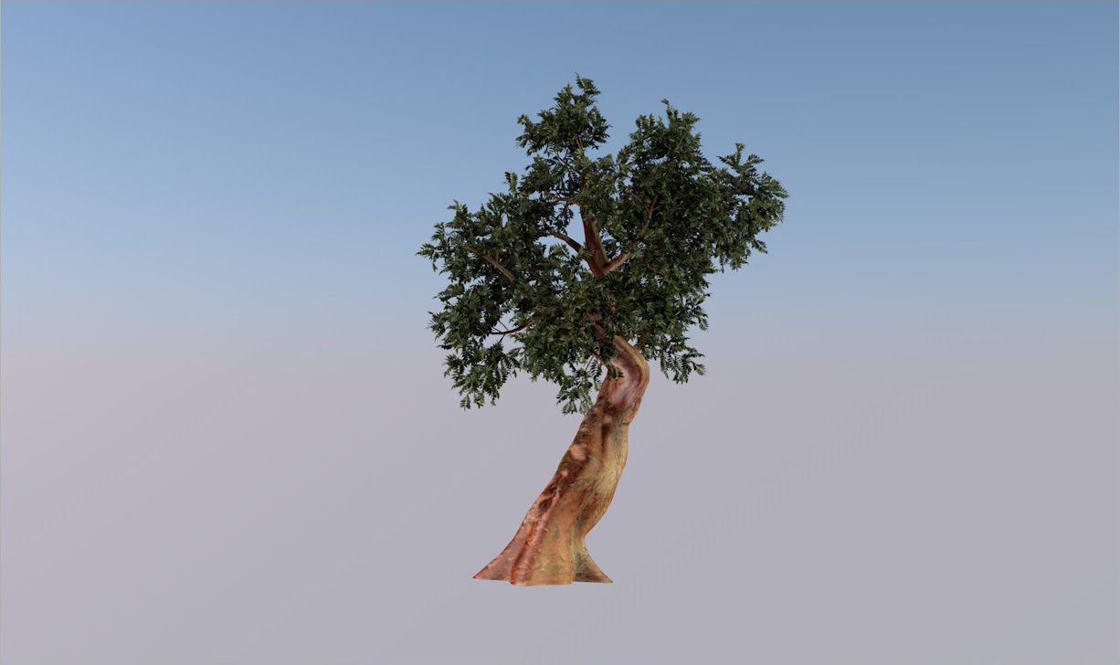 3D model Syzygium gratum tree VR / AR / low-poly | CGTrader