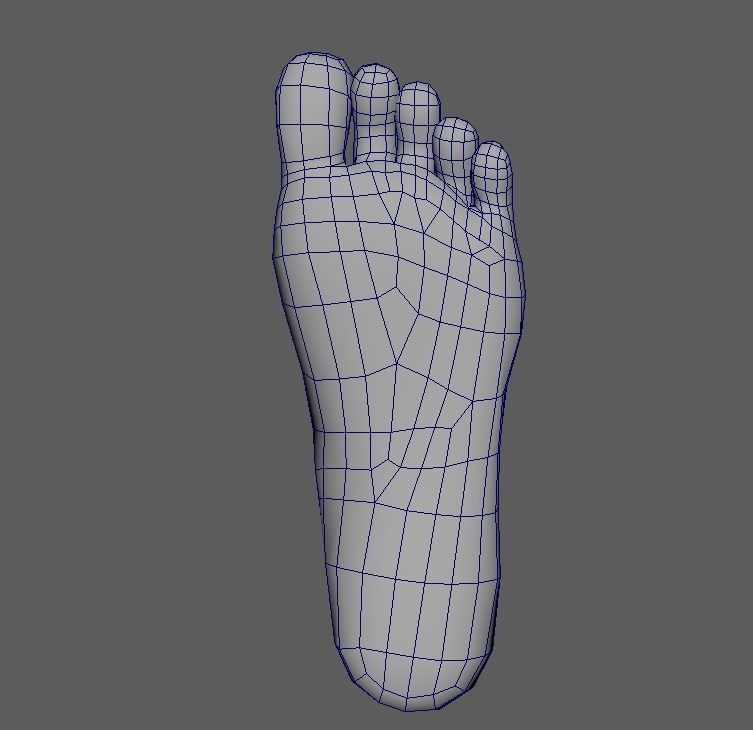 3D model Low Poly feet model foot VR / AR / low-poly | CGTrader