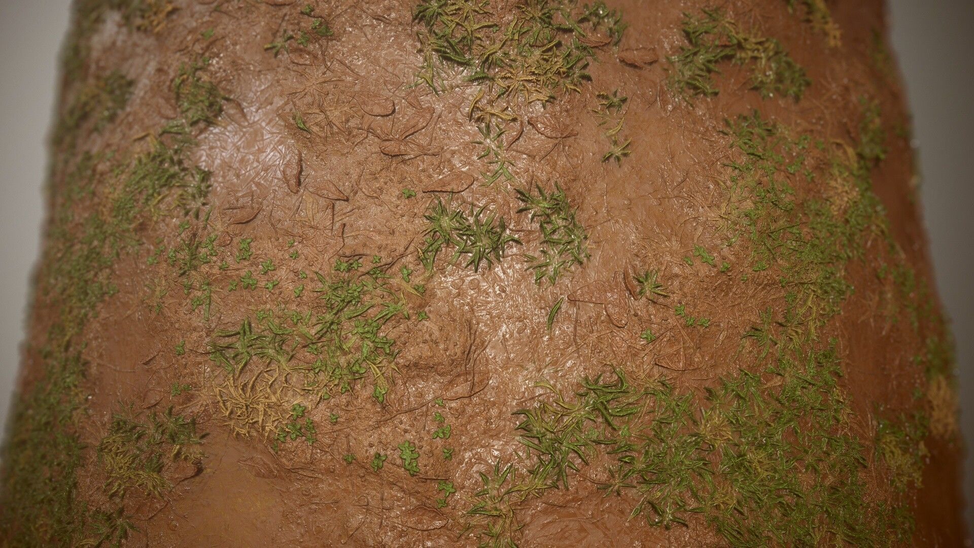 Mud Grass free Texture | CGTrader