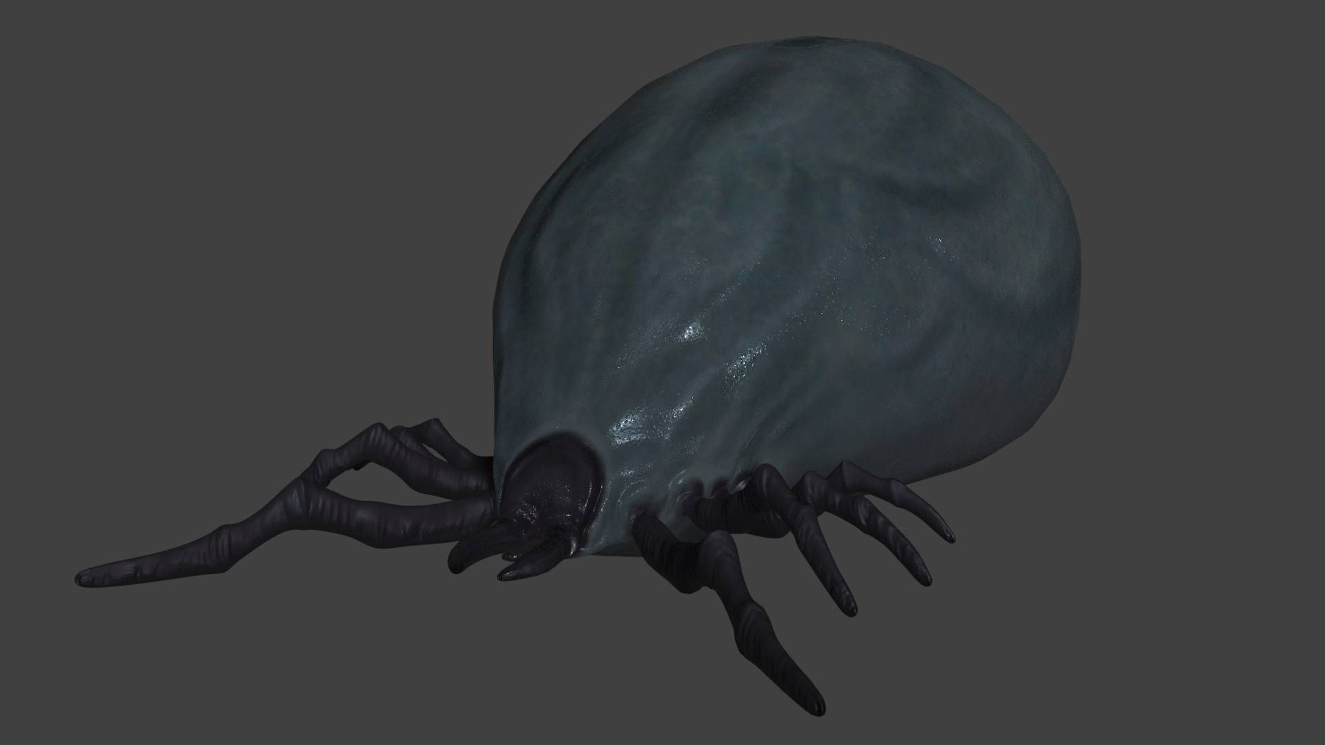 3D model well fed tick VR / AR / low-poly rigged | CGTrader