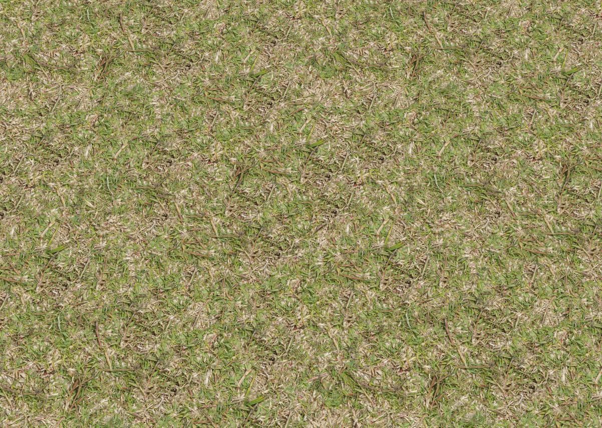 Short Grass Texture | CGTrader