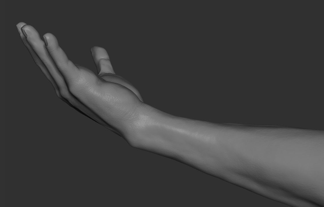 Hand detailed 3D model | CGTrader
