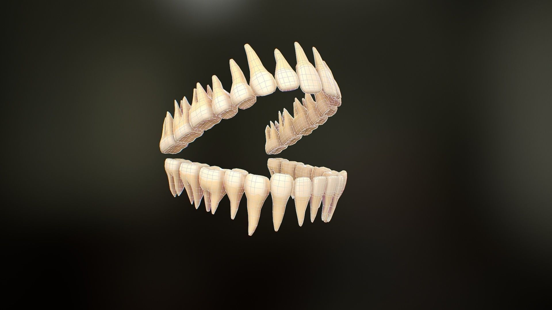 3D model Realistic human Teeth - Mouth for character Low-poly 3D model ...