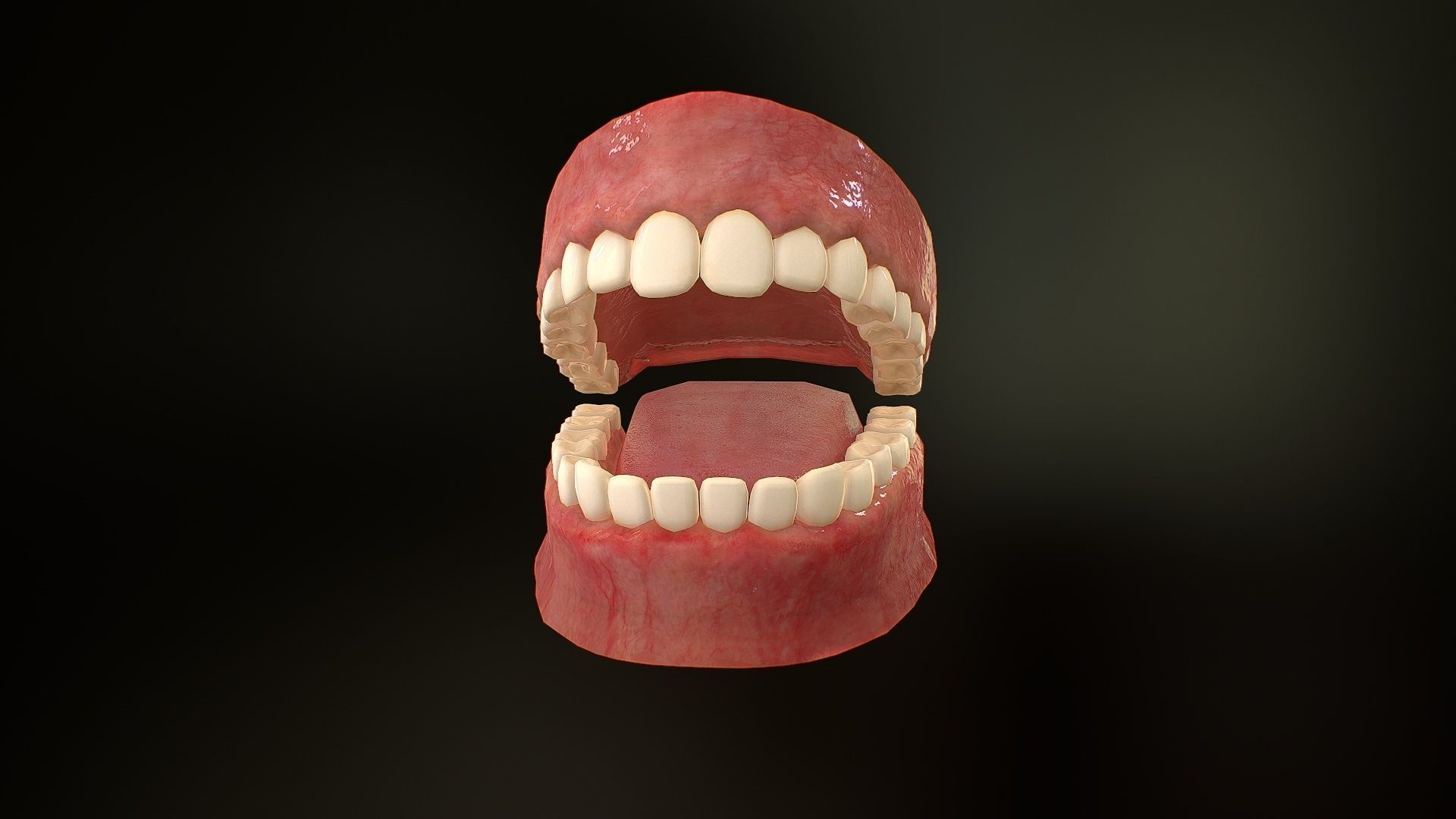 3D model Realistic human Teeth - Mouth for character Low-poly 3D model ...