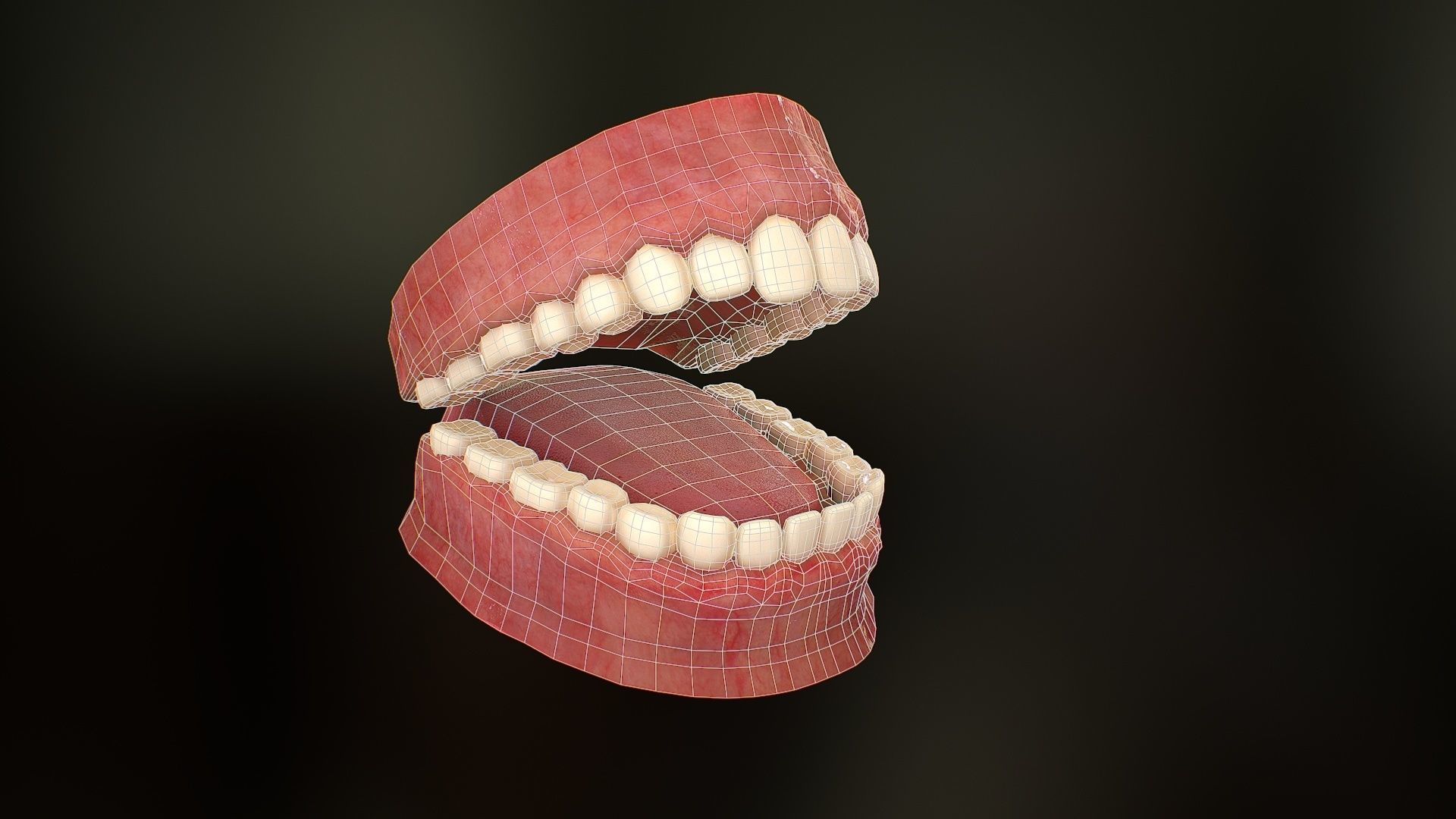 3D model Realistic human Teeth - Mouth for character Low-poly 3D model ...