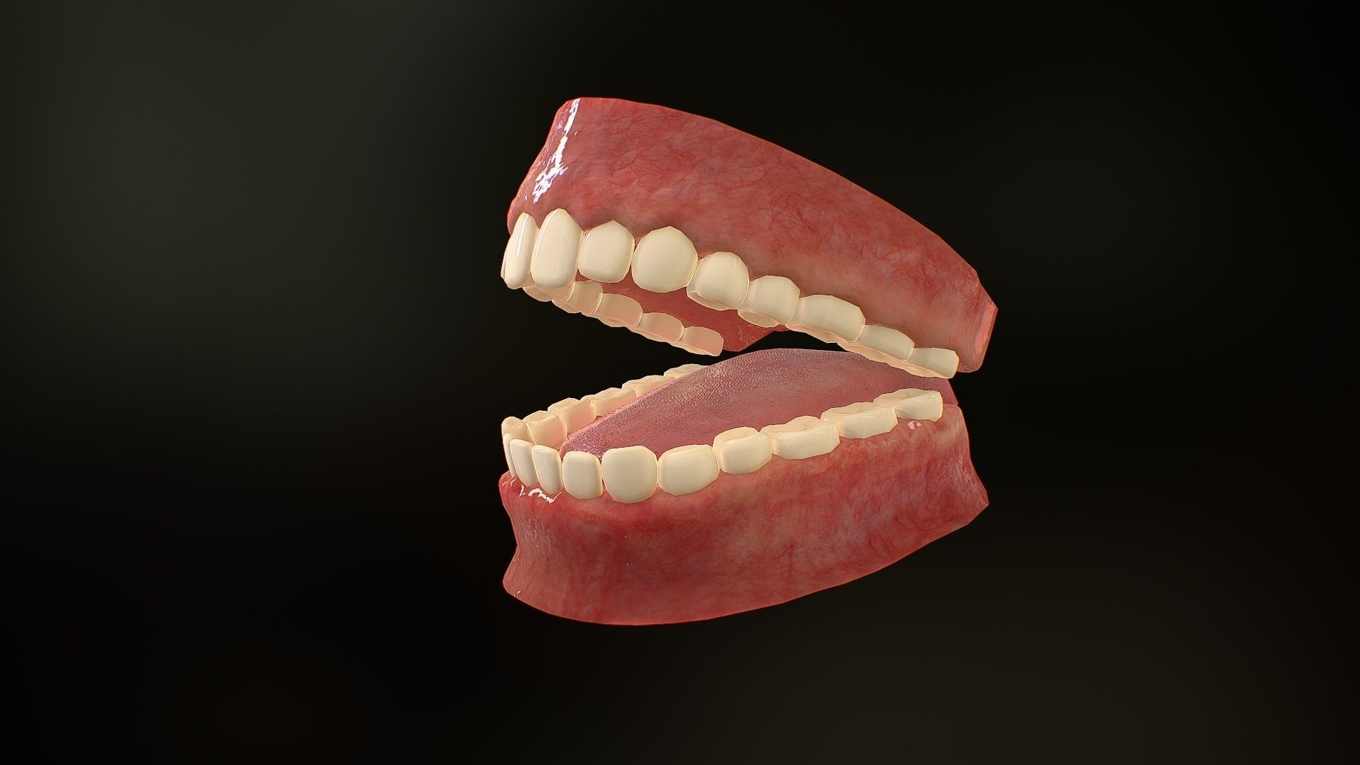 3D model Realistic human Teeth - Mouth for character Low-poly 3D model ...