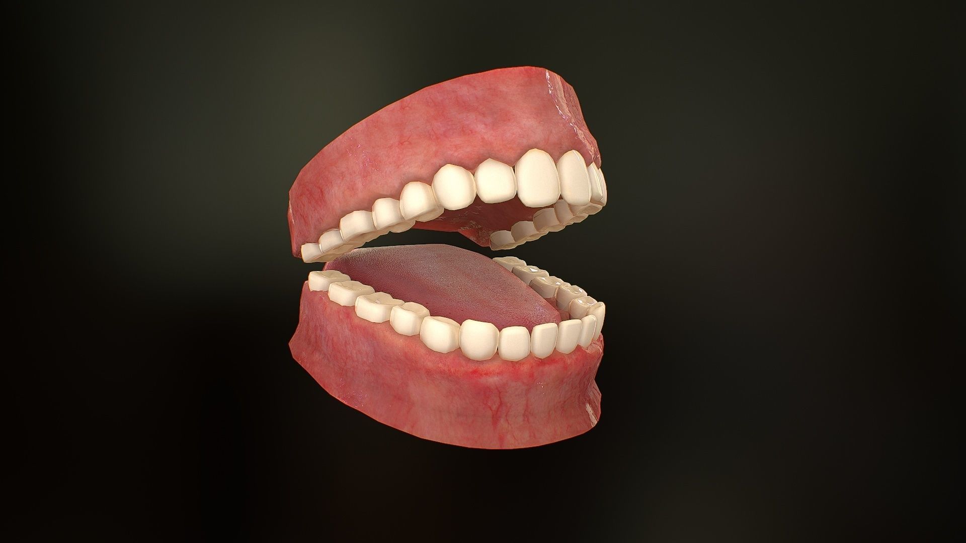 3D model Realistic human Teeth - Mouth for character Low-poly 3D model ...