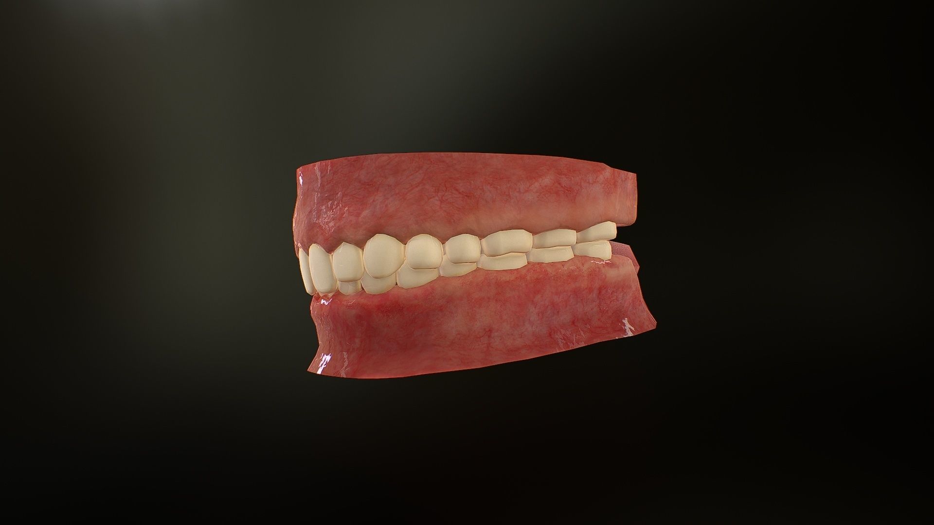 3D model Realistic human Teeth - Mouth for character Low-poly 3D model ...