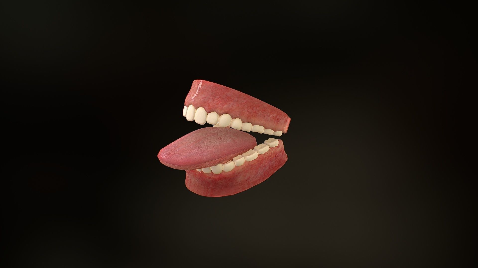 3D model Realistic human Teeth - Mouth for character Low-poly 3D model ...