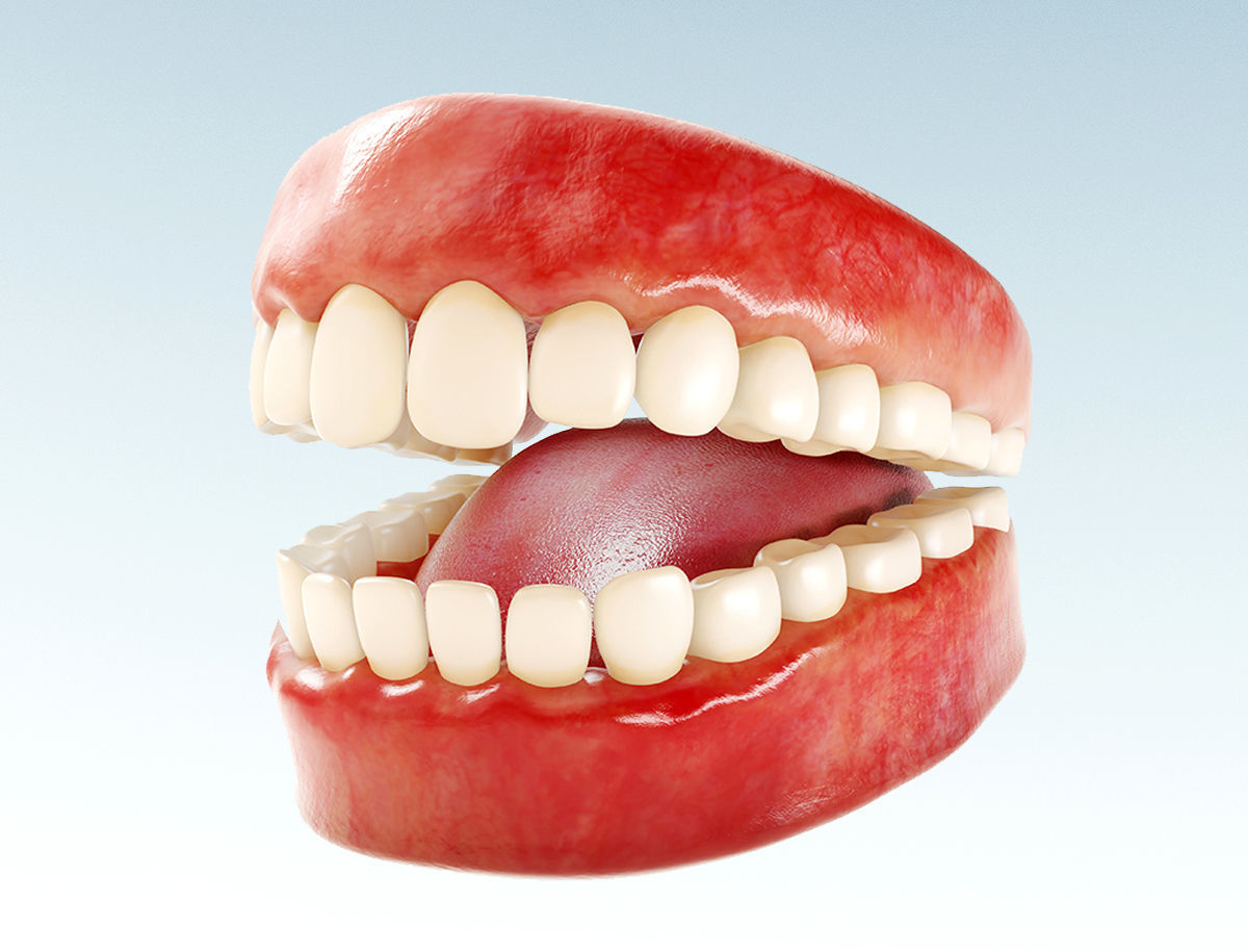 3D model Realistic human Teeth - Mouth for character Low-poly 3D model ...