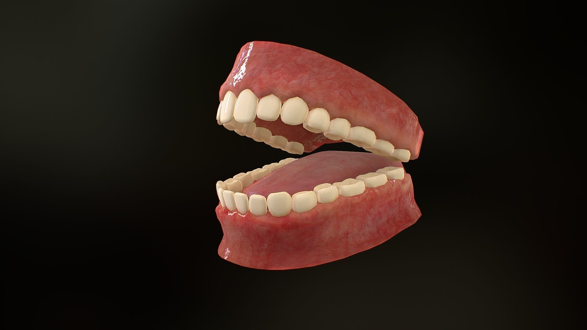 3D model Realistic human Teeth - Mouth for character Low-poly 3D model ...