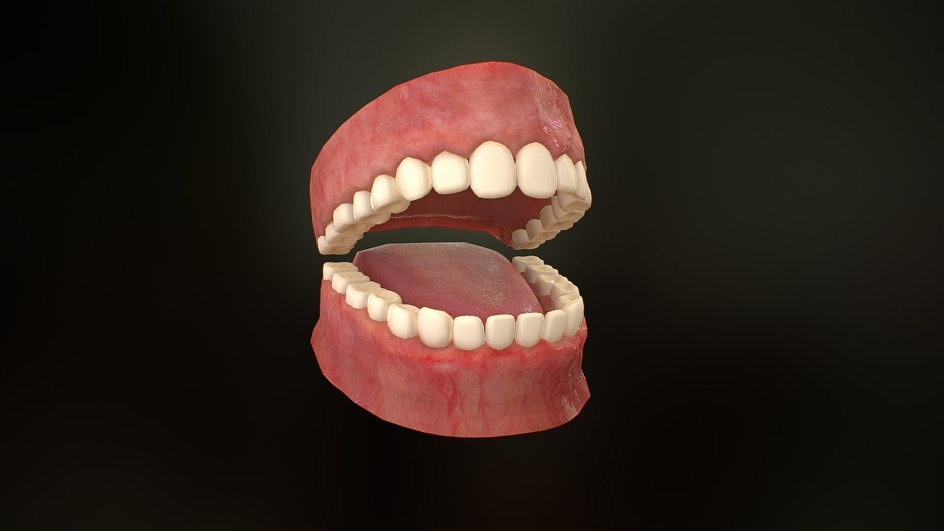 3D model Realistic human Teeth - Mouth for character Low-poly 3D model ...