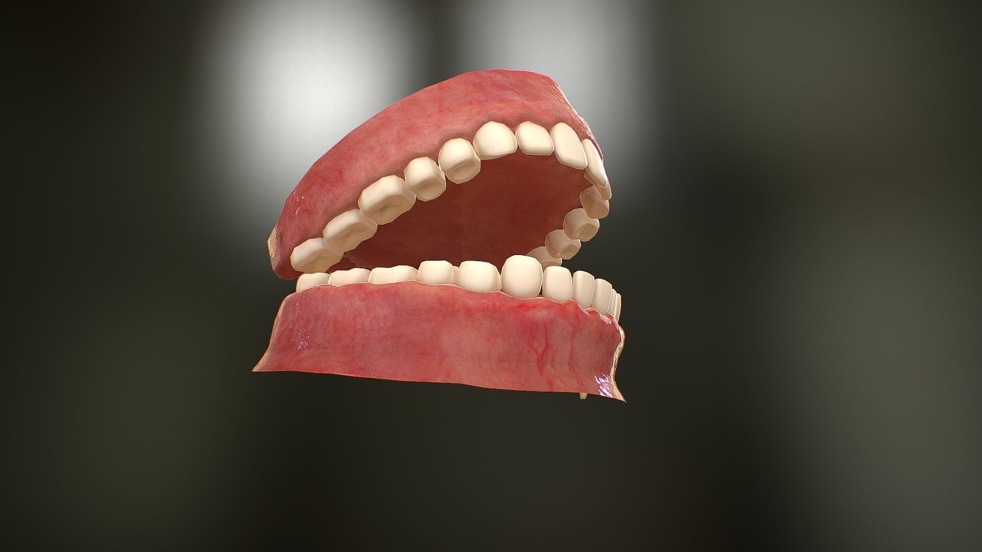 3D model Realistic human Teeth - Mouth for character Low-poly 3D model ...