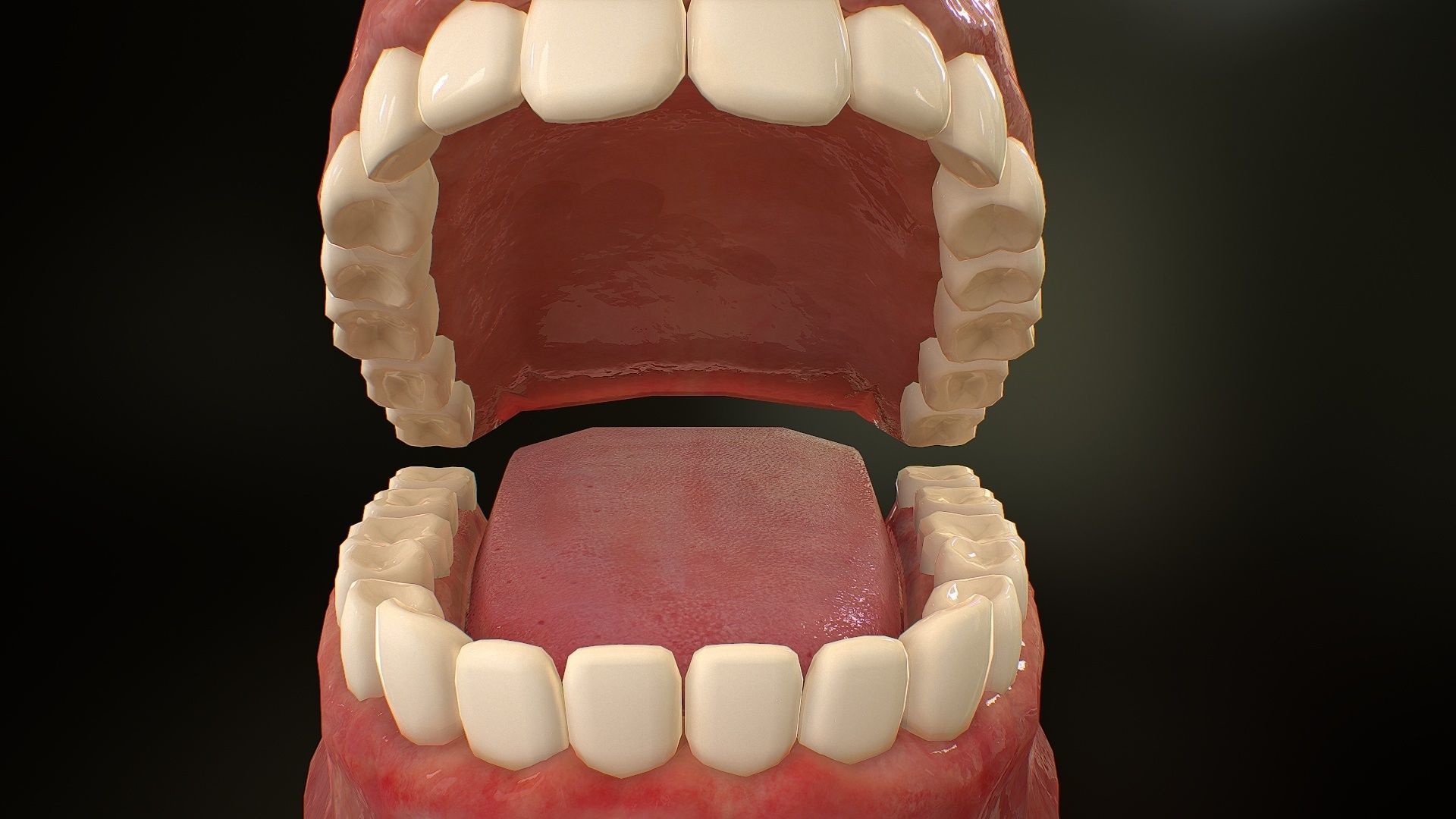 3D model Realistic human Teeth - Mouth for character Low-poly 3D model ...