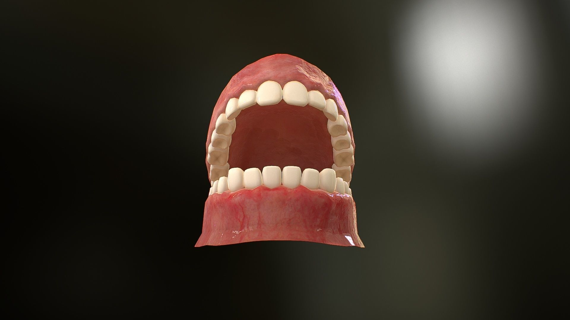 3D model Realistic human Teeth - Mouth for character Low-poly 3D model ...