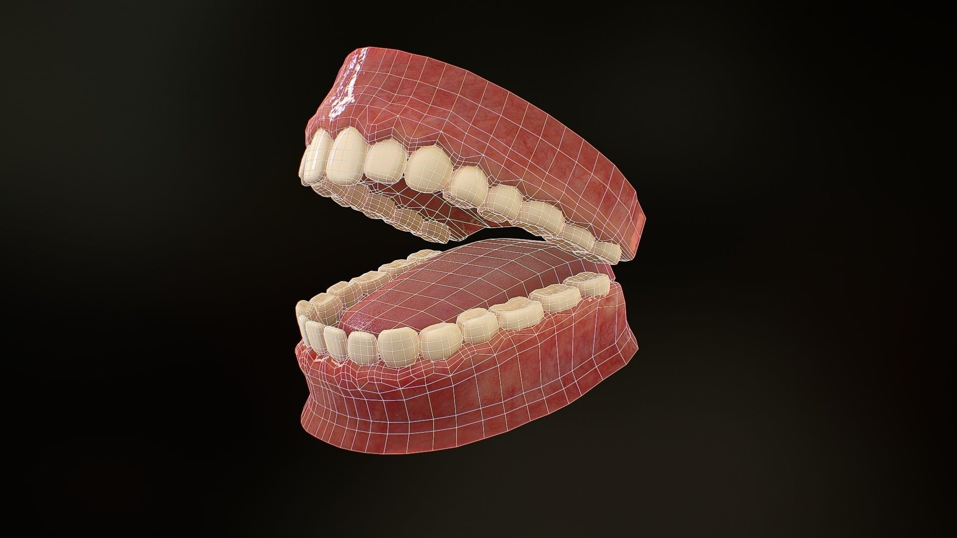 3D model Realistic human Teeth - Mouth for character Low-poly 3D model ...