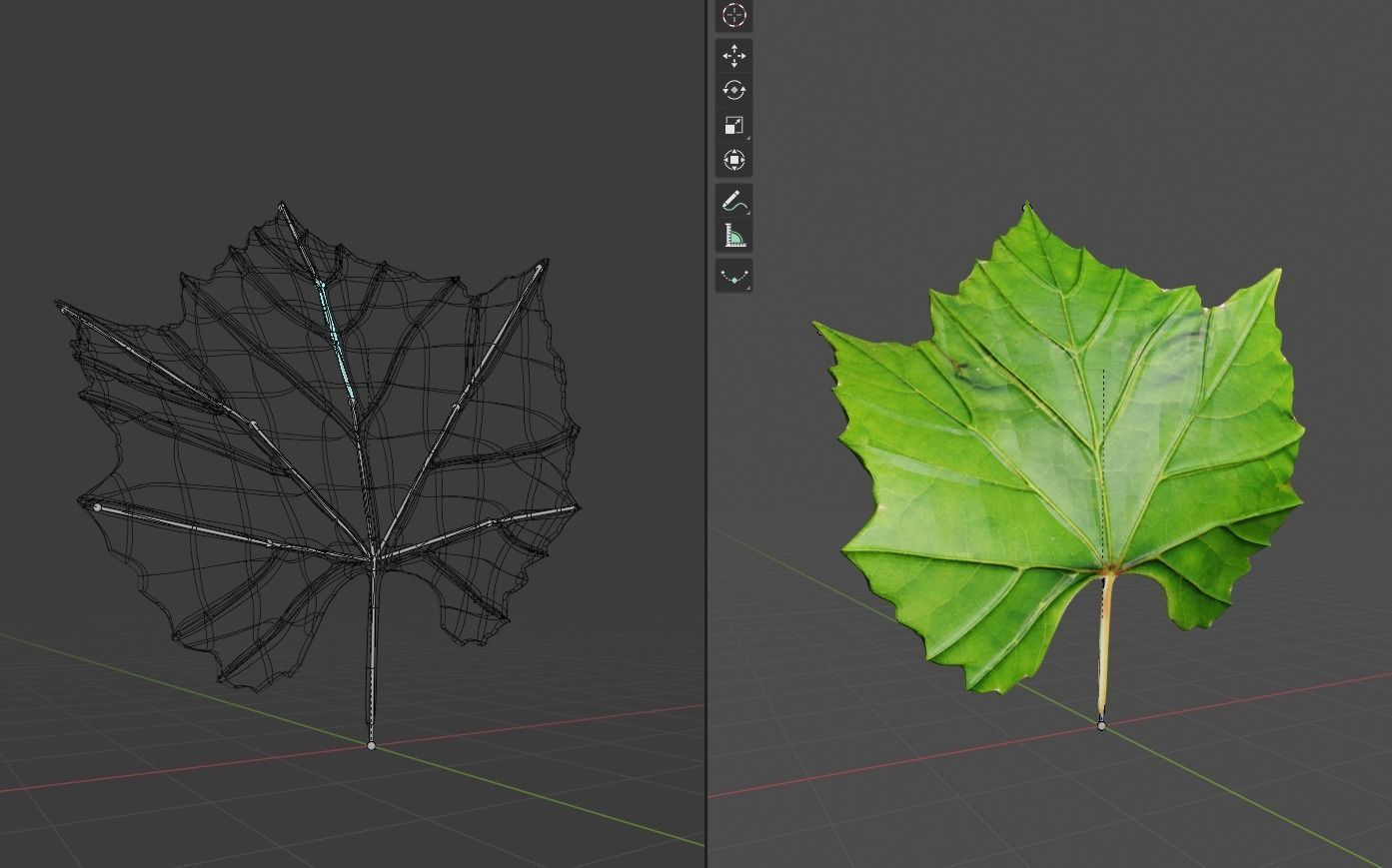 Grape leaf 3D model rigged | CGTrader
