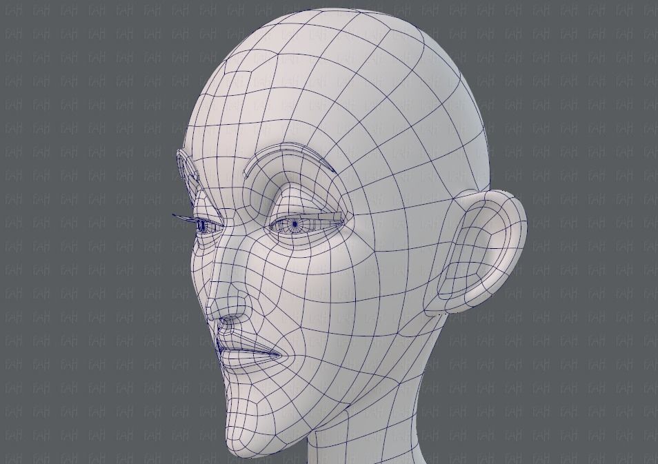 3D model Base mesh woman 21 VR / AR / low-poly | CGTrader