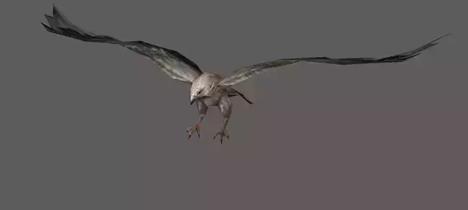 3D model Hawk Low Poly eagle in flight VR / AR / low-poly | CGTrader