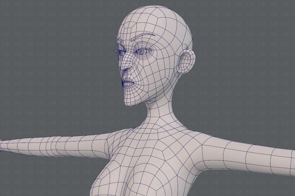 3D model Base mesh woman 22 VR / AR / low-poly | CGTrader