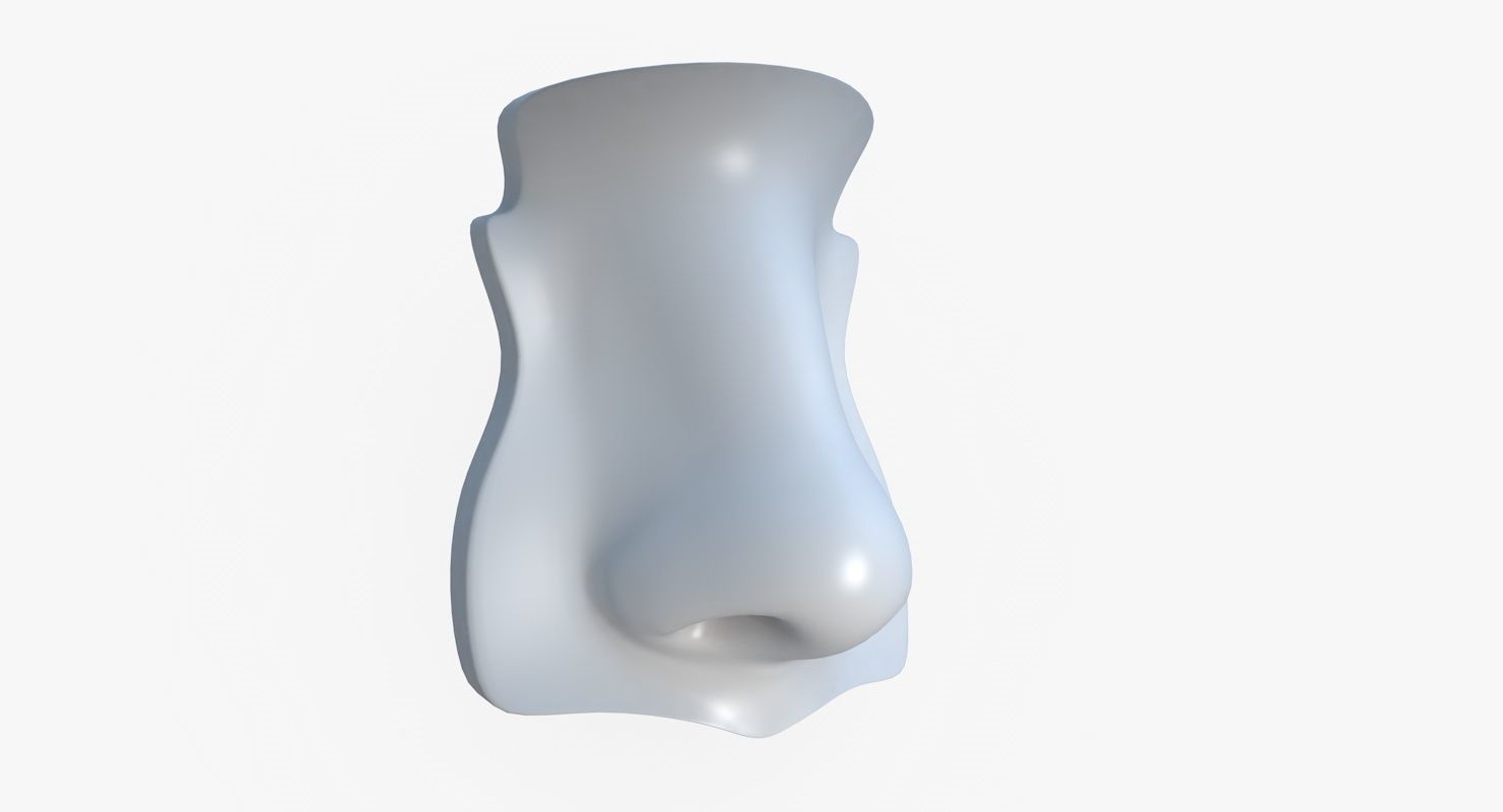 3D model Nose 3d model VR / AR / low-poly | CGTrader