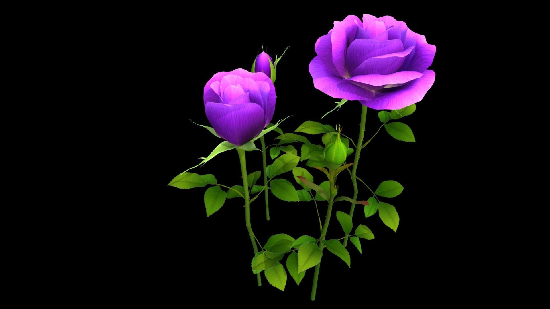 3D model Flower Rose Madiver VR / AR / low-poly | CGTrader