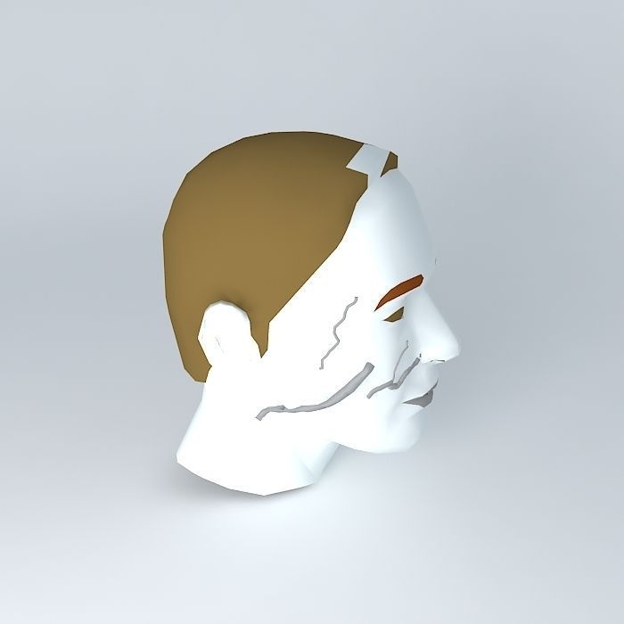 face with cut free 3D model | CGTrader