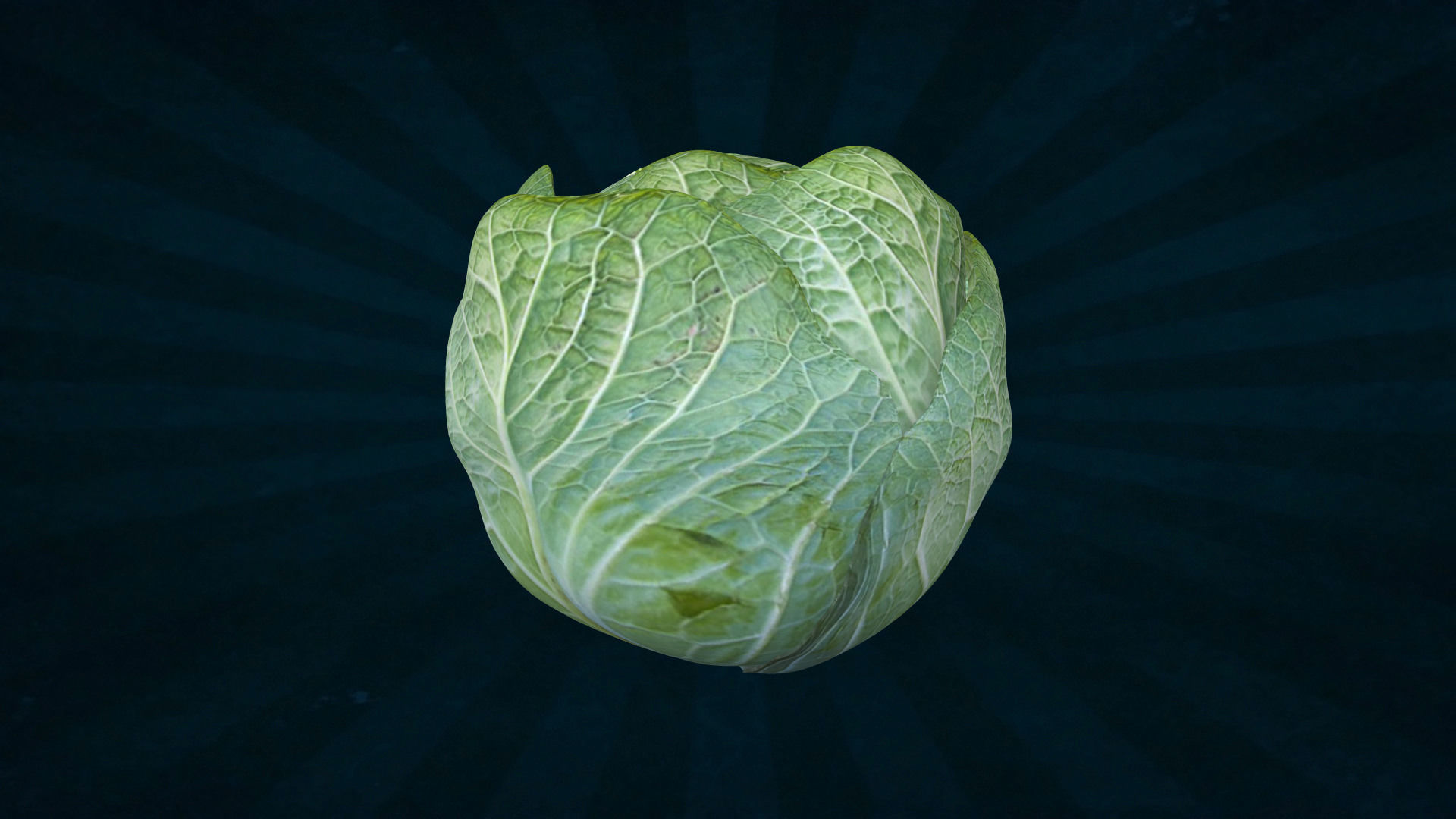 VEGE-001 Cabbage 3D model | CGTrader
