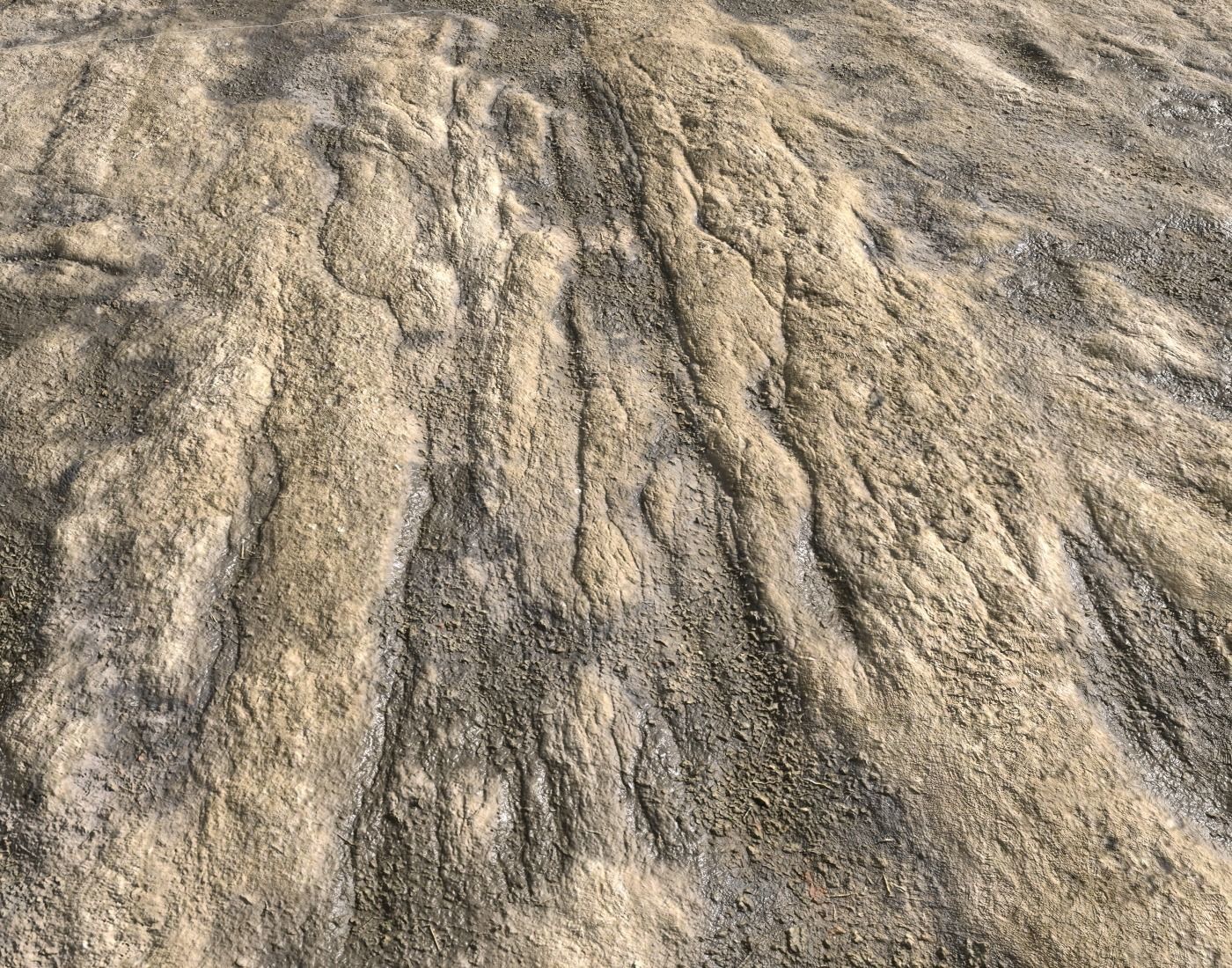 Dirt Ground PBR Texture | CGTrader
