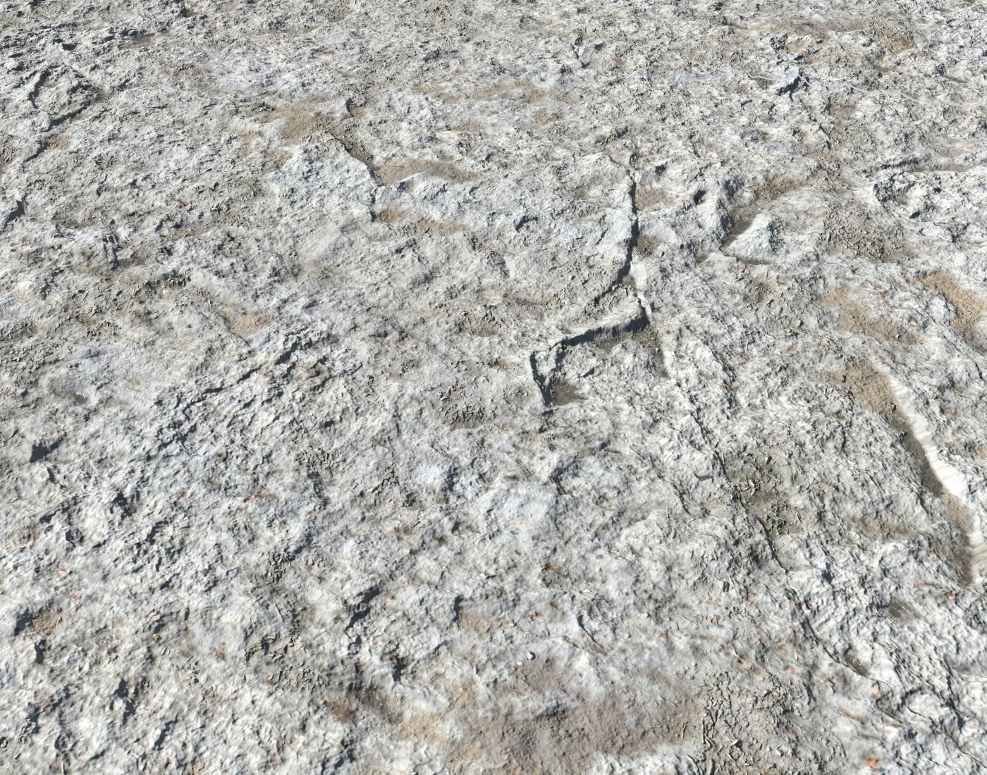 Rough White Ground PBR free Texture | CGTrader