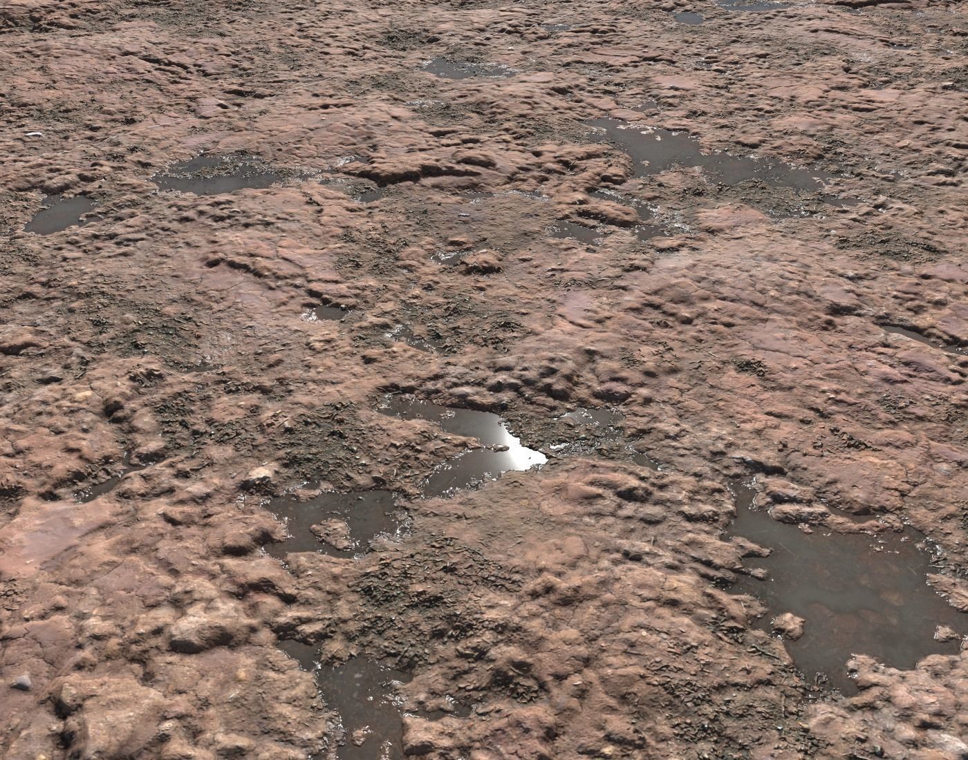 Red arid terrain seamless PBR Texture | CGTrader