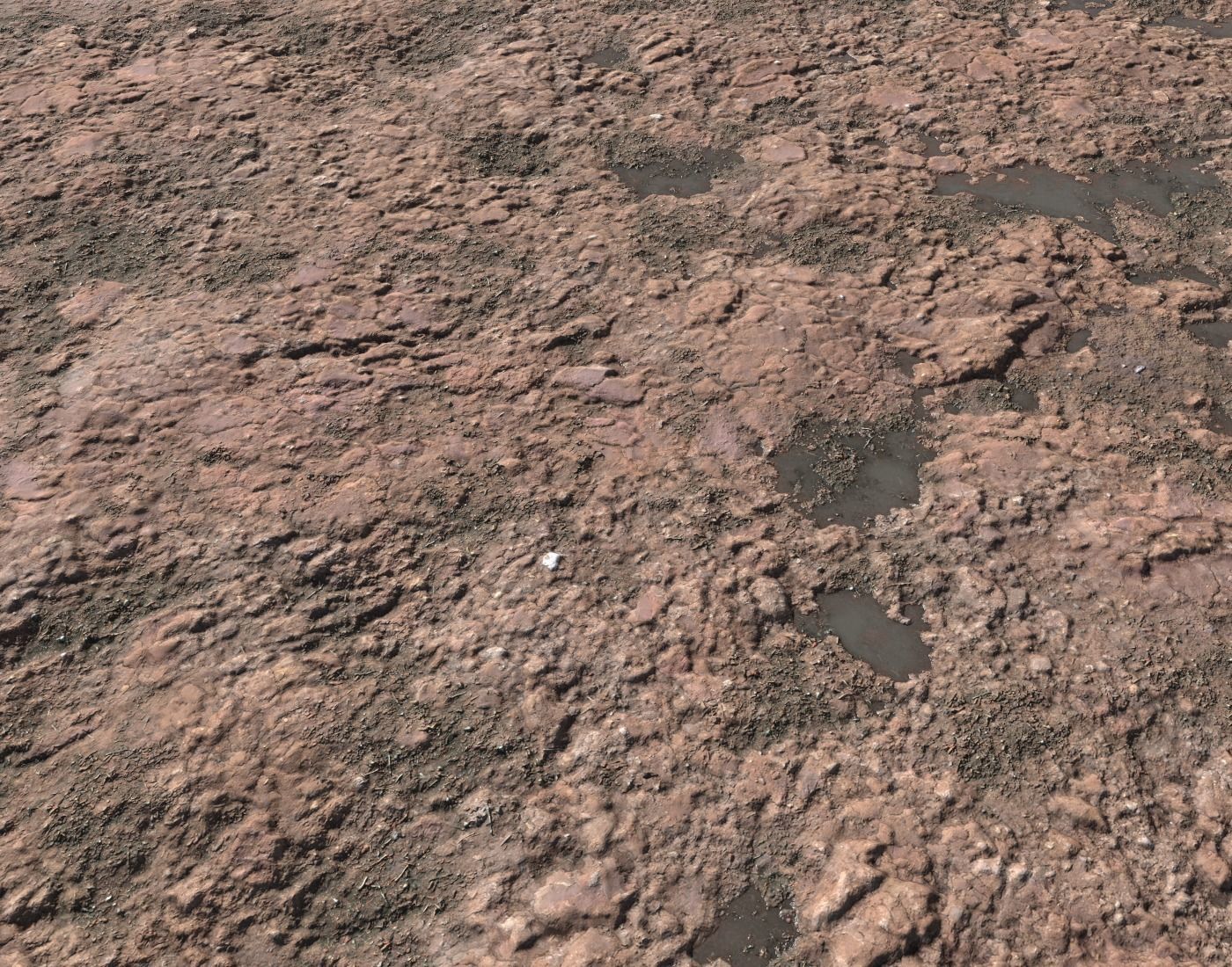 Red arid terrain seamless PBR Texture | CGTrader