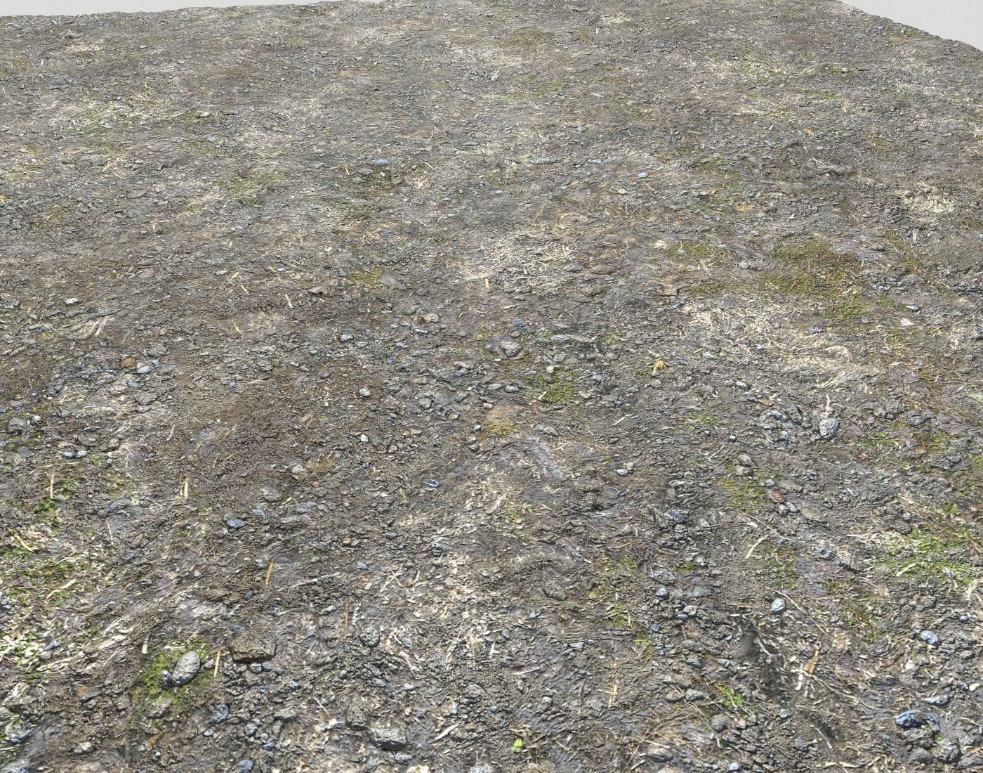Dirty terrain 3 seamless PBR Texture | CGTrader